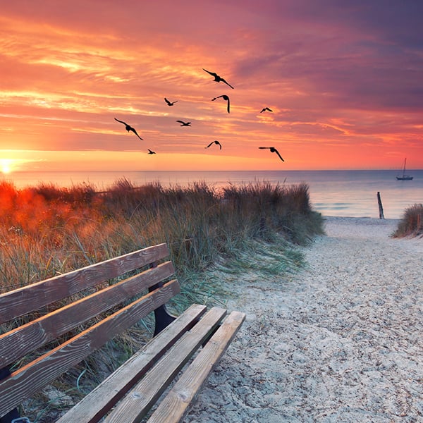 Shares and the fight against inflation | Alliance Witan