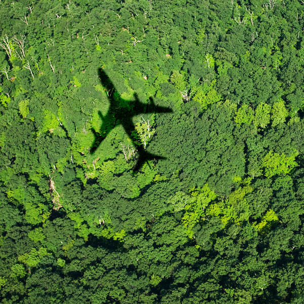 Resilience in Investment: Aircraft leasing | Alliance Witan