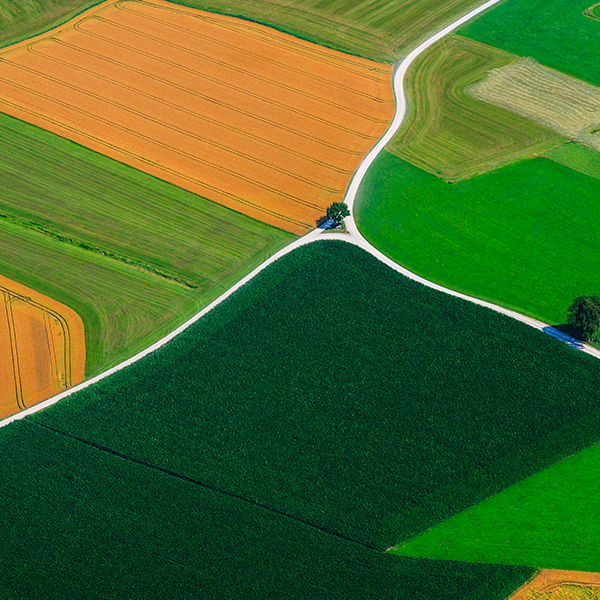 Investment pathways and the alternatives | Alliance Witan