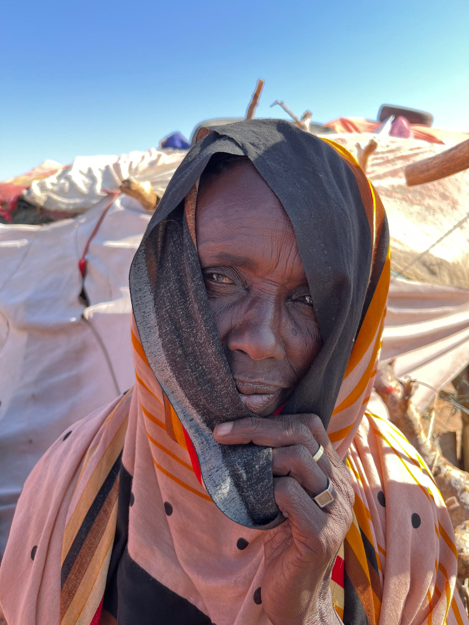 Filling Key Gaps in Emergency Response: Strengths and Challenges of ...