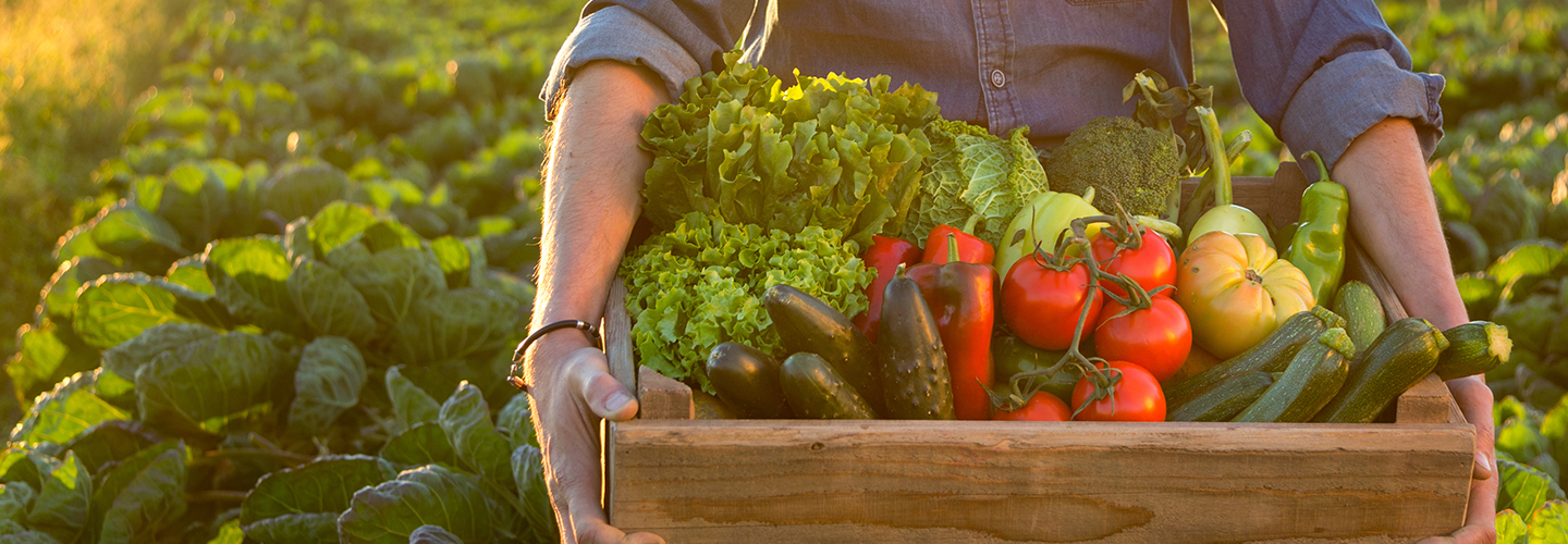 Organic And Natural Organic & Natural Organic & Natural Expo Dubai