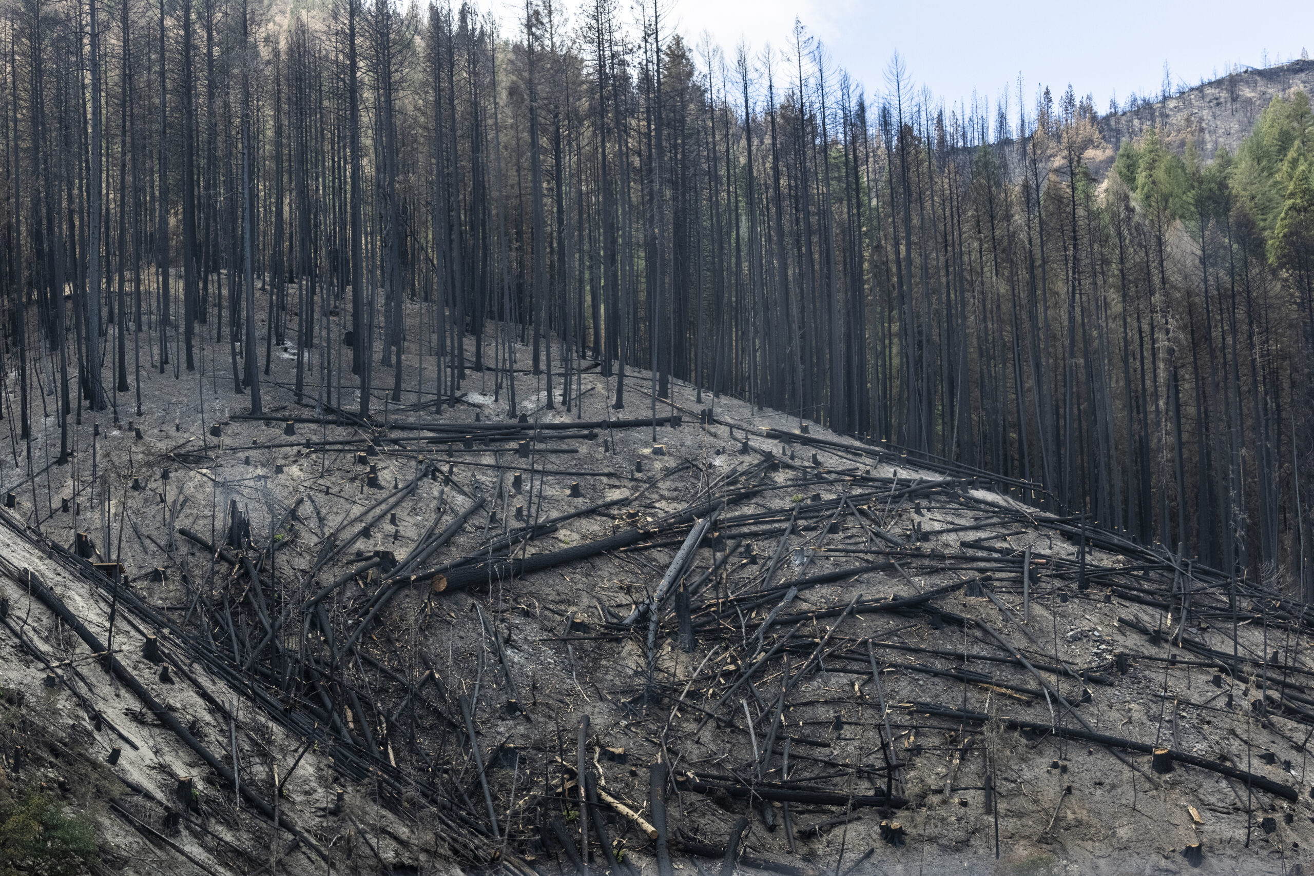 CalRecycle debris program management