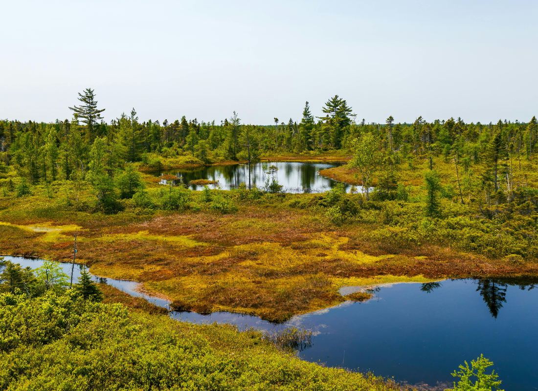 Egis acquires Ecometrix, bolstering environmental and water capabilities in Canada