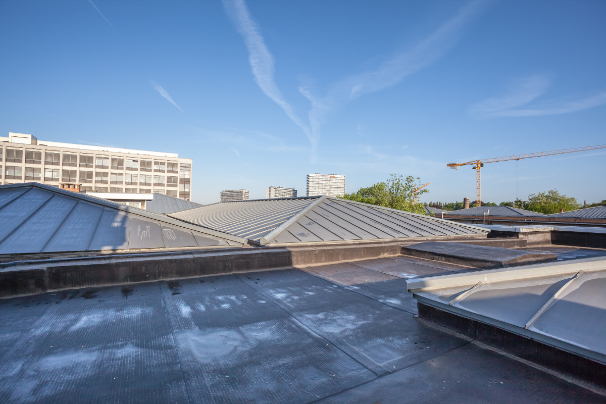 Egis - Roofing
