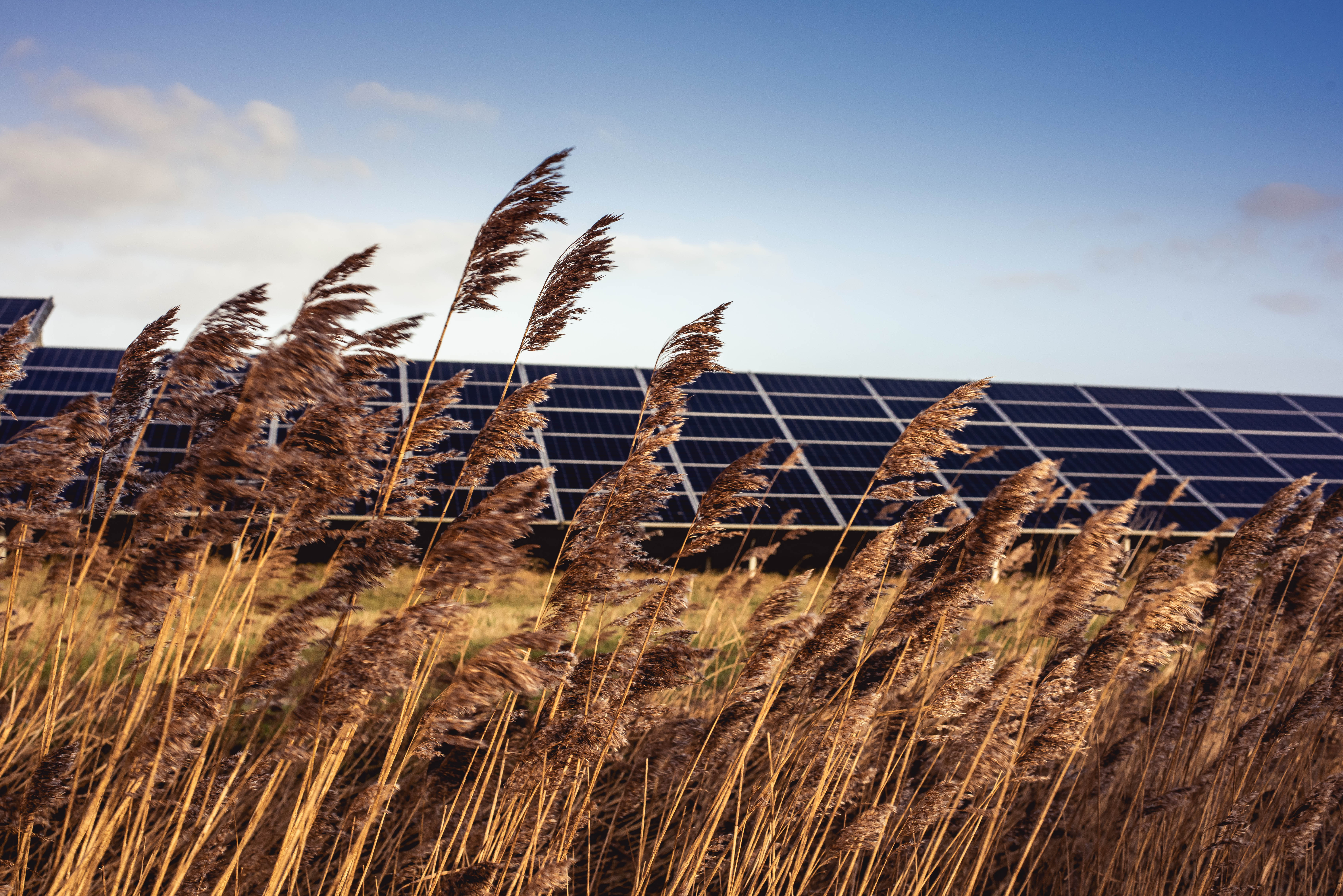 Foresight Solar | Foresight Group