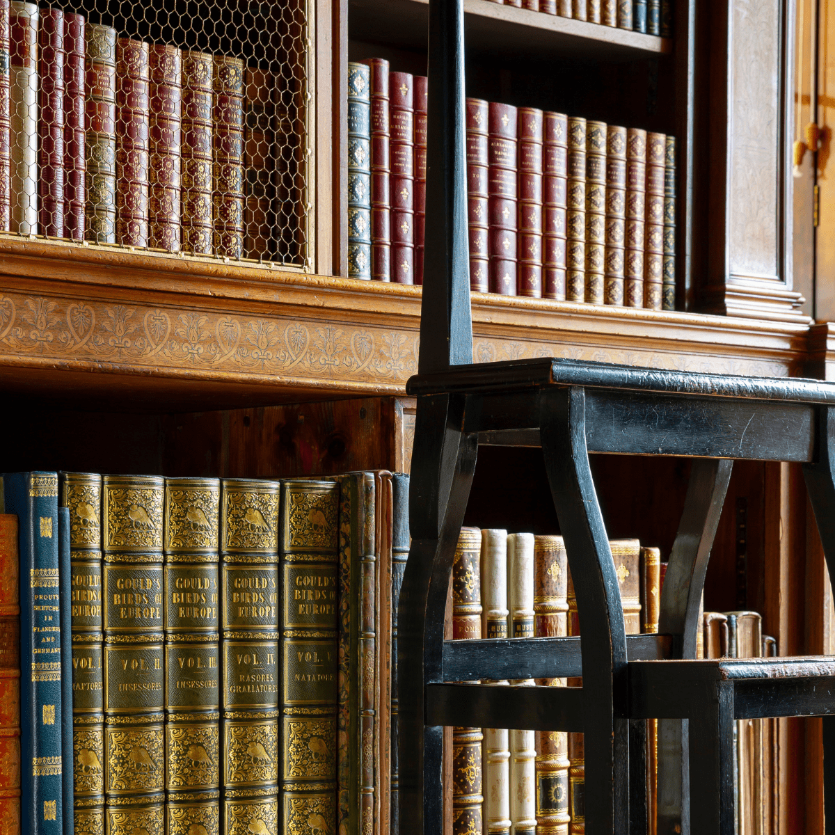 Access the Collections