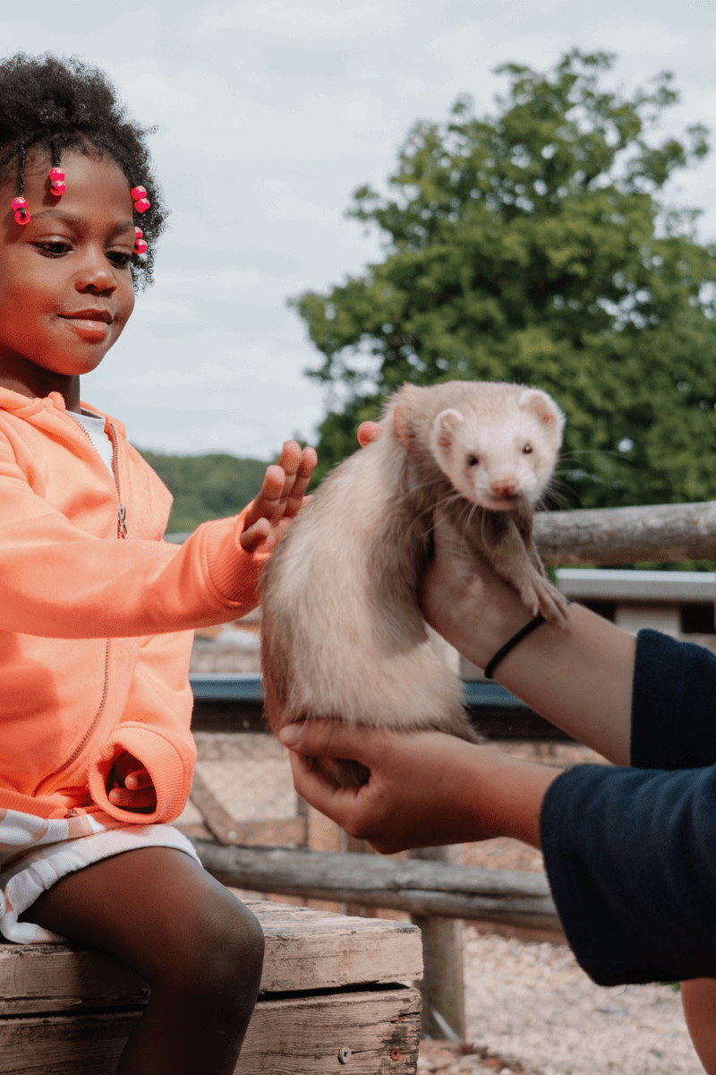 Special offers at Longleat