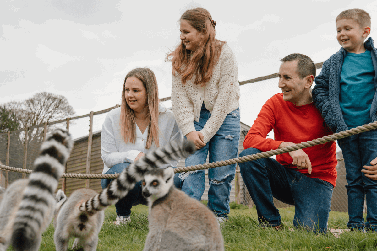 Special offers at Longleat
