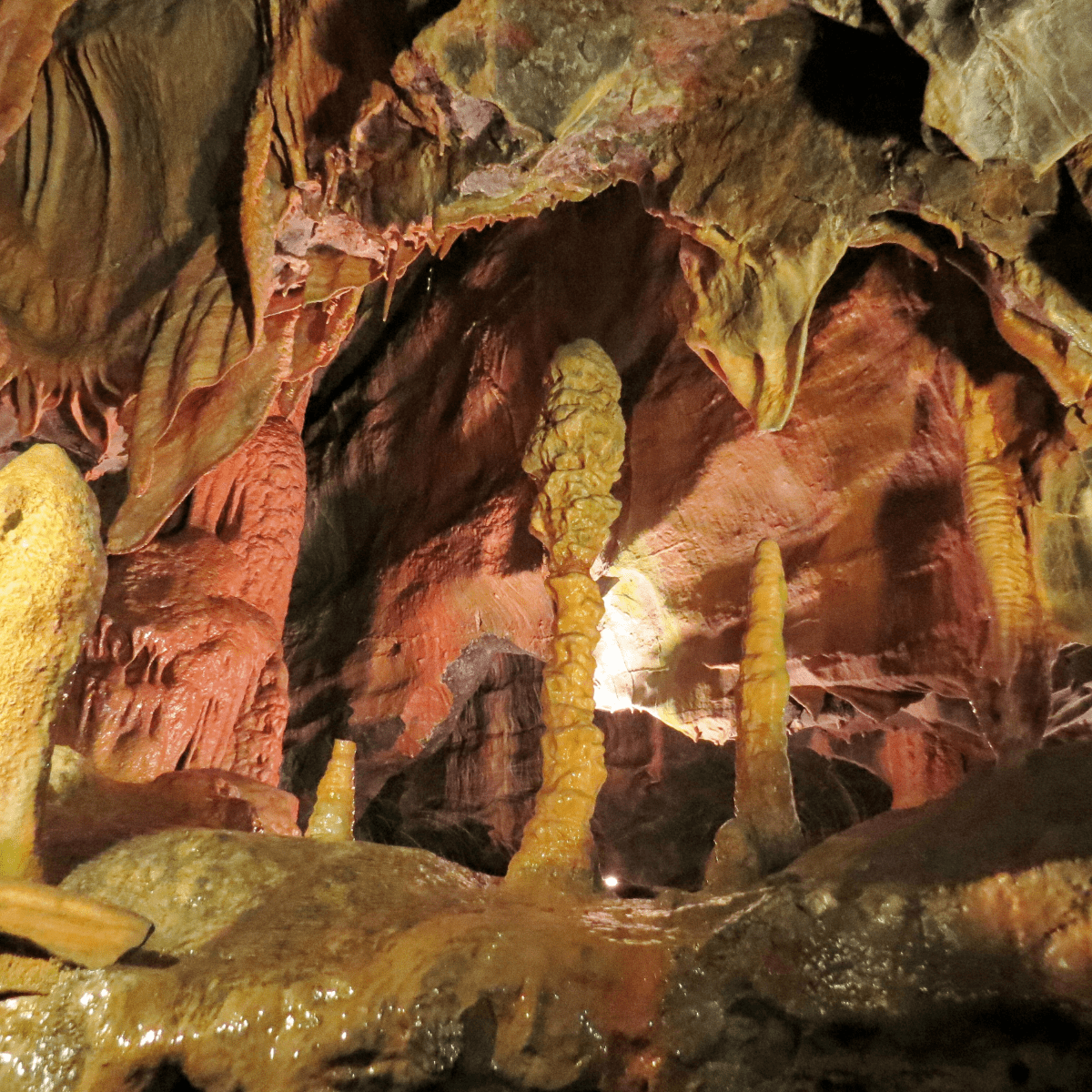 Gough’s Cave