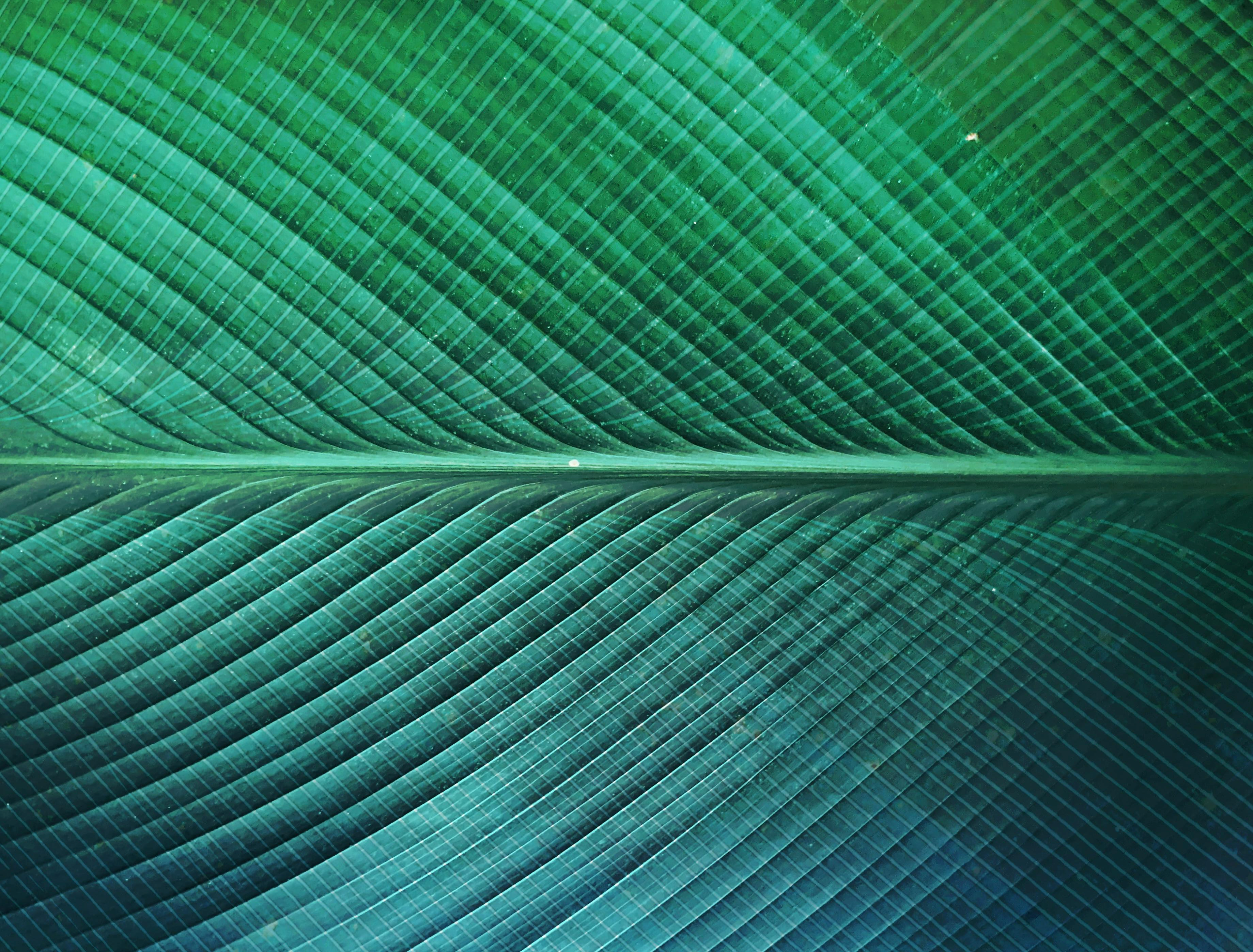 OAK Re underlines success with new appointments