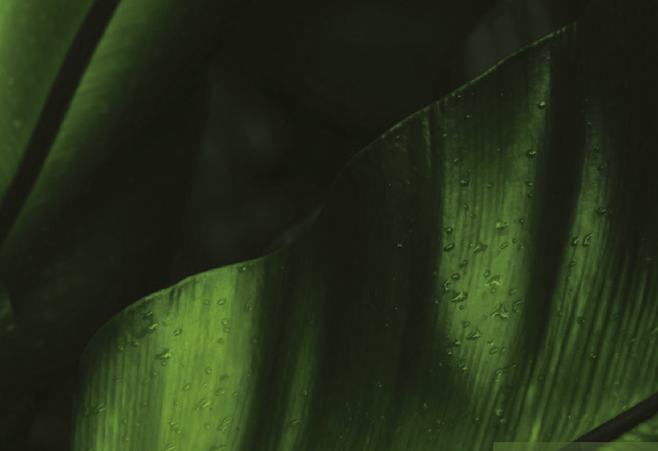 OAK Re strengthens property offering with new appointment