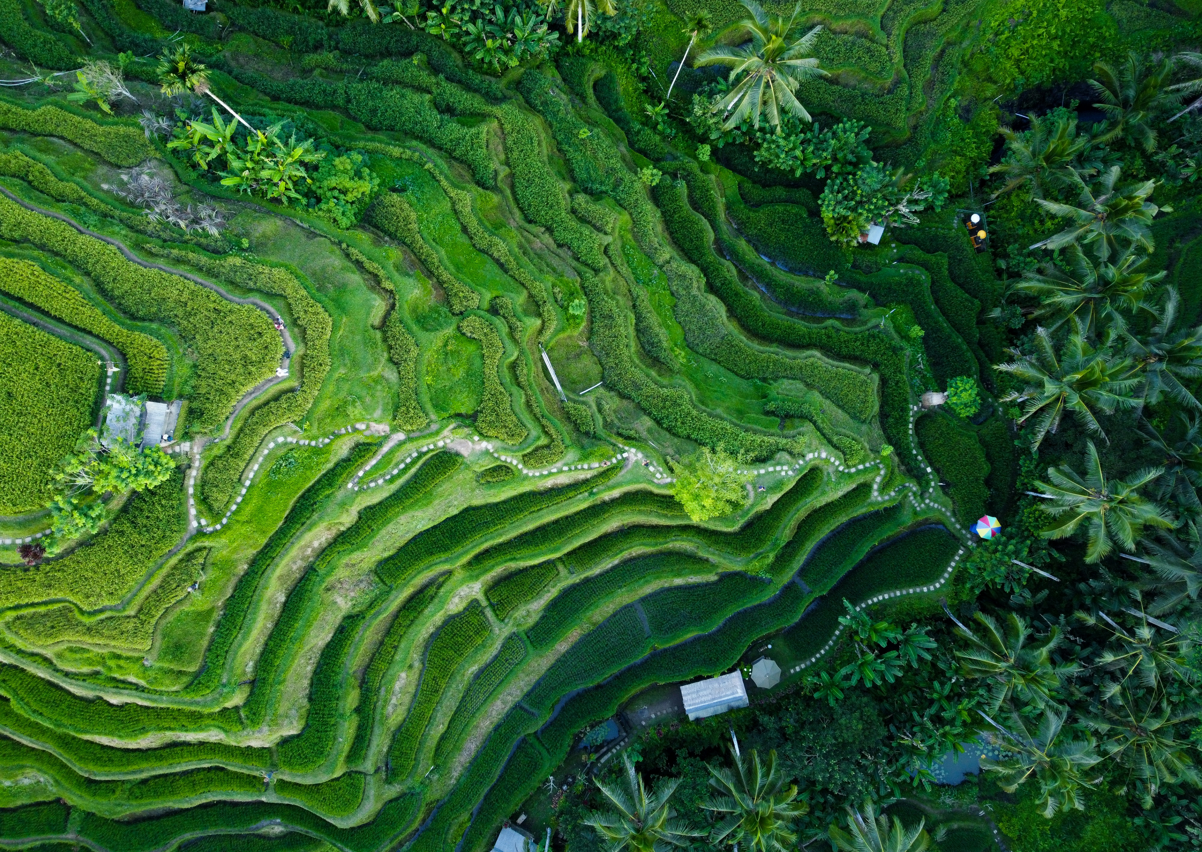 OAK Re announces enhanced organisational structure