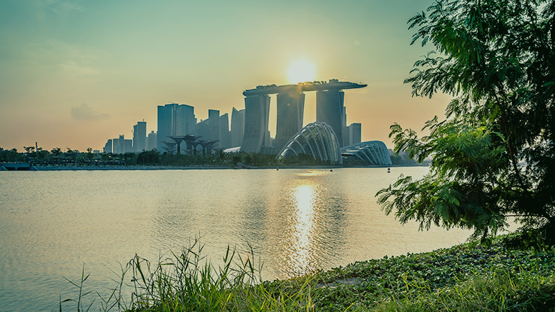 Contact Us | Singapore | LVI Associates