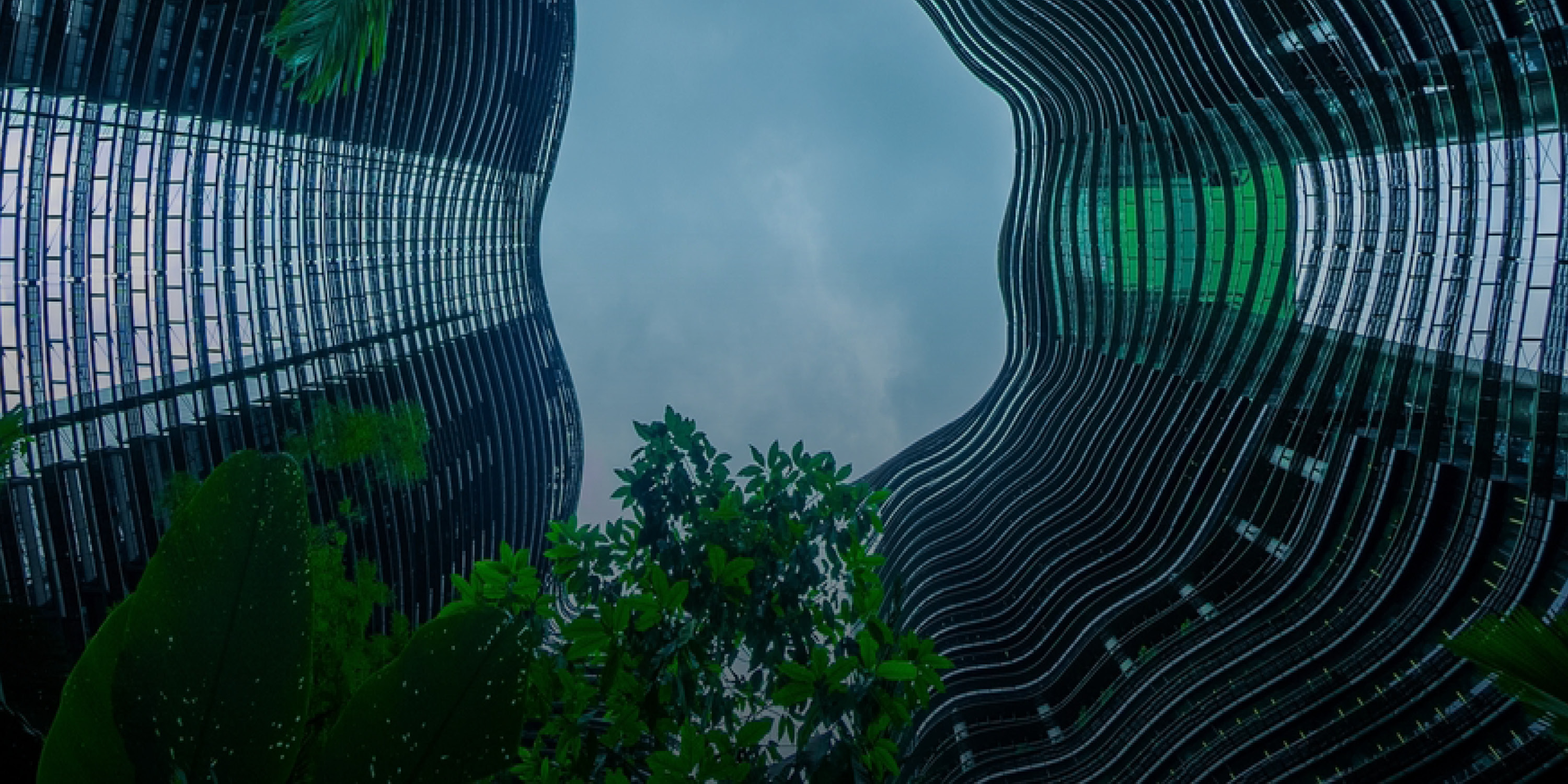 About Us | Puma Capital Group - Puma Capital Group