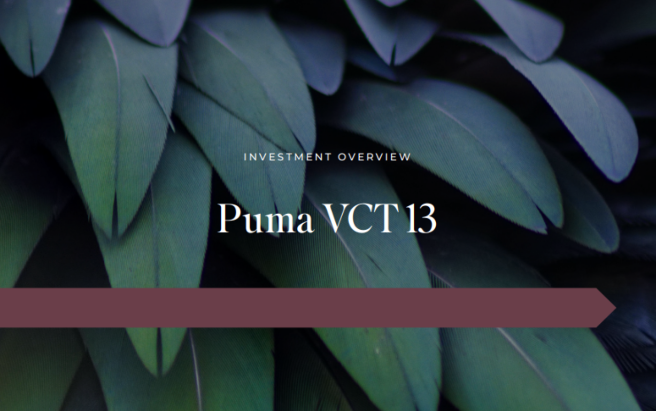 Puma AIM VCT