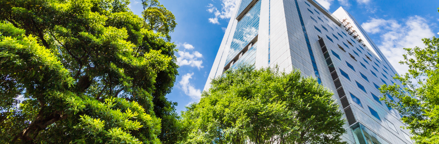 Puma Capital Group - Puma Capital Group