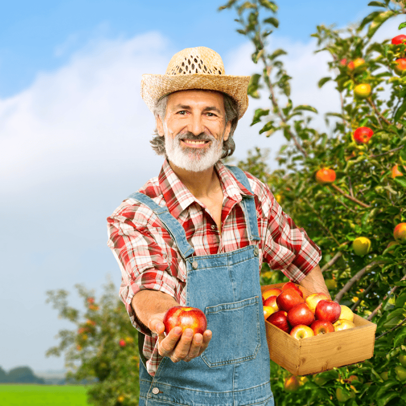 Netto+ App – Exklusive Angebote und Rabatte