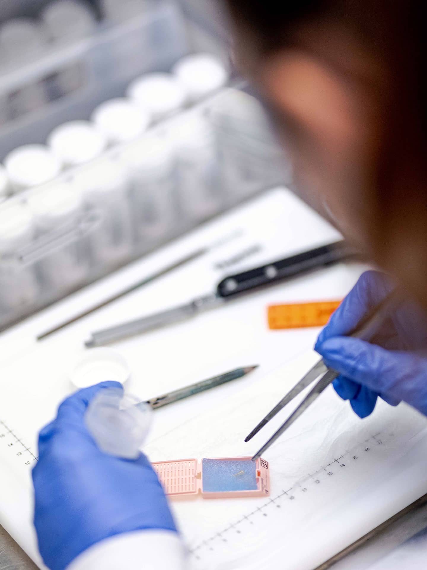 Laboratory of Pathological Anatomy | Specialties | JCS | Joaquim Chaves ...
