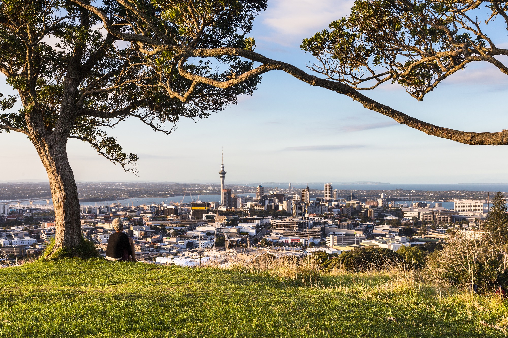 Auckland’s infrastructure: The cost to serve a city that’s growing ...