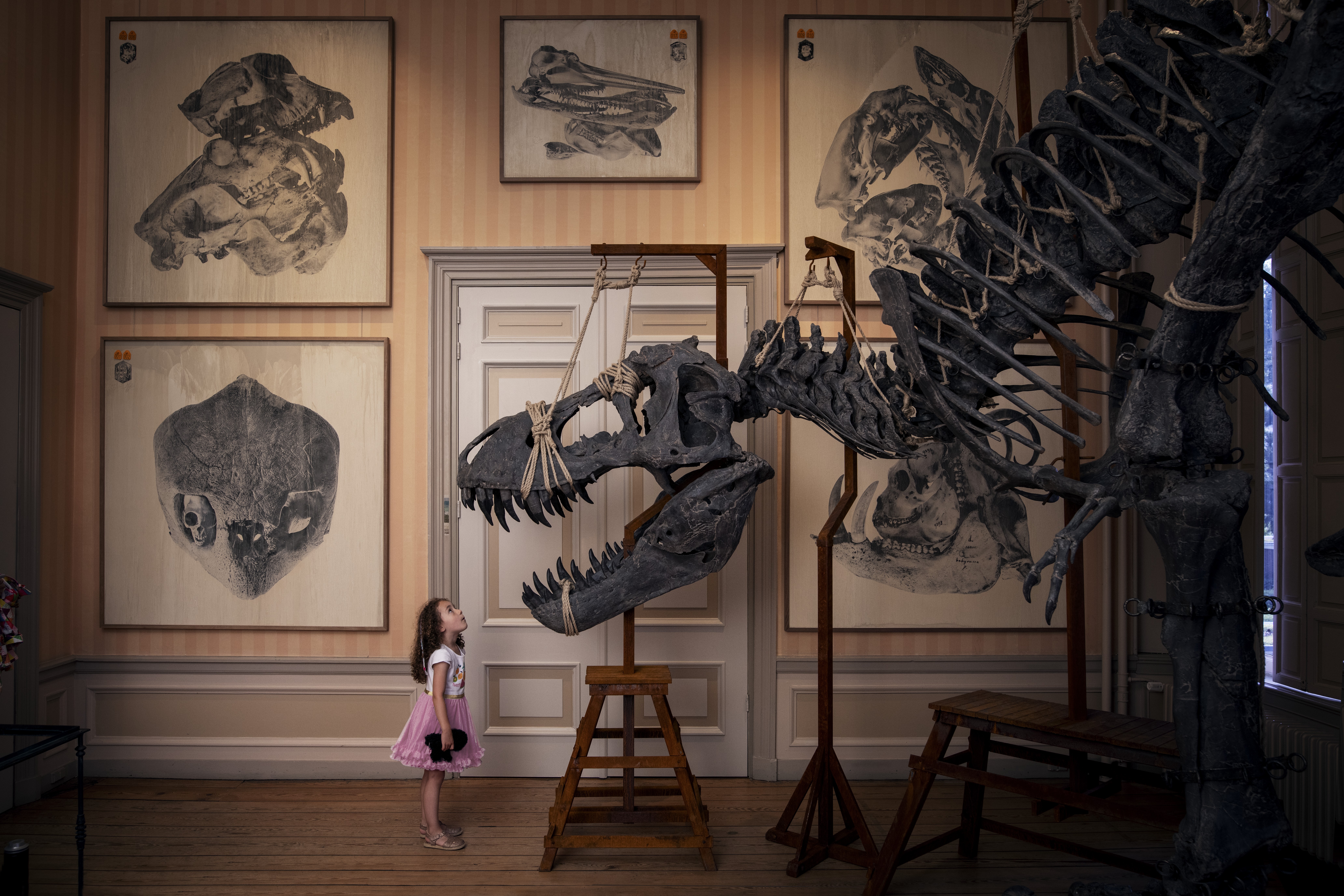 Art Zoo Museum - Ledenvoordeel | VvAA